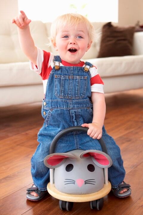 Interior Shutters Are Safer For Toddlers And Children Than Blinds ...